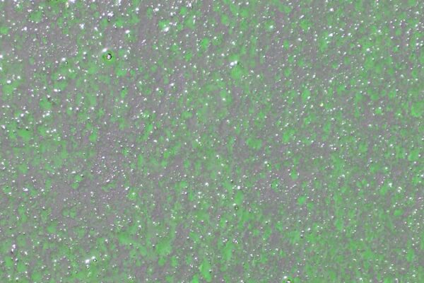 Aggregate Retarder Applications - Prime Exposure